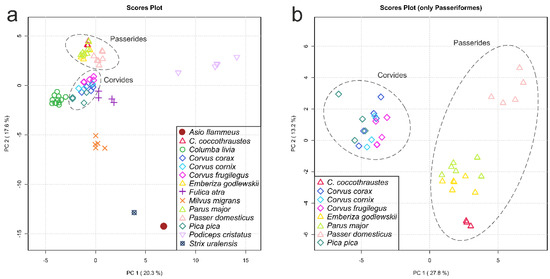 Biology | An Open Access Journal from MDPI