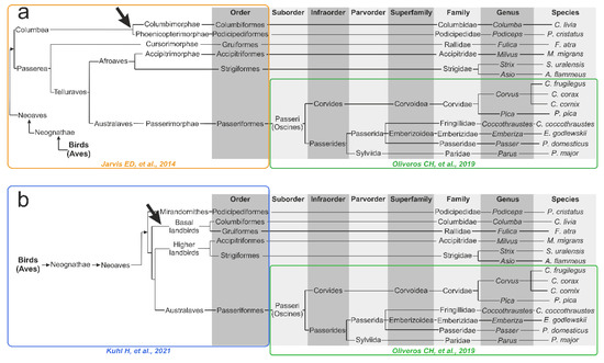 Biology | An Open Access Journal from MDPI