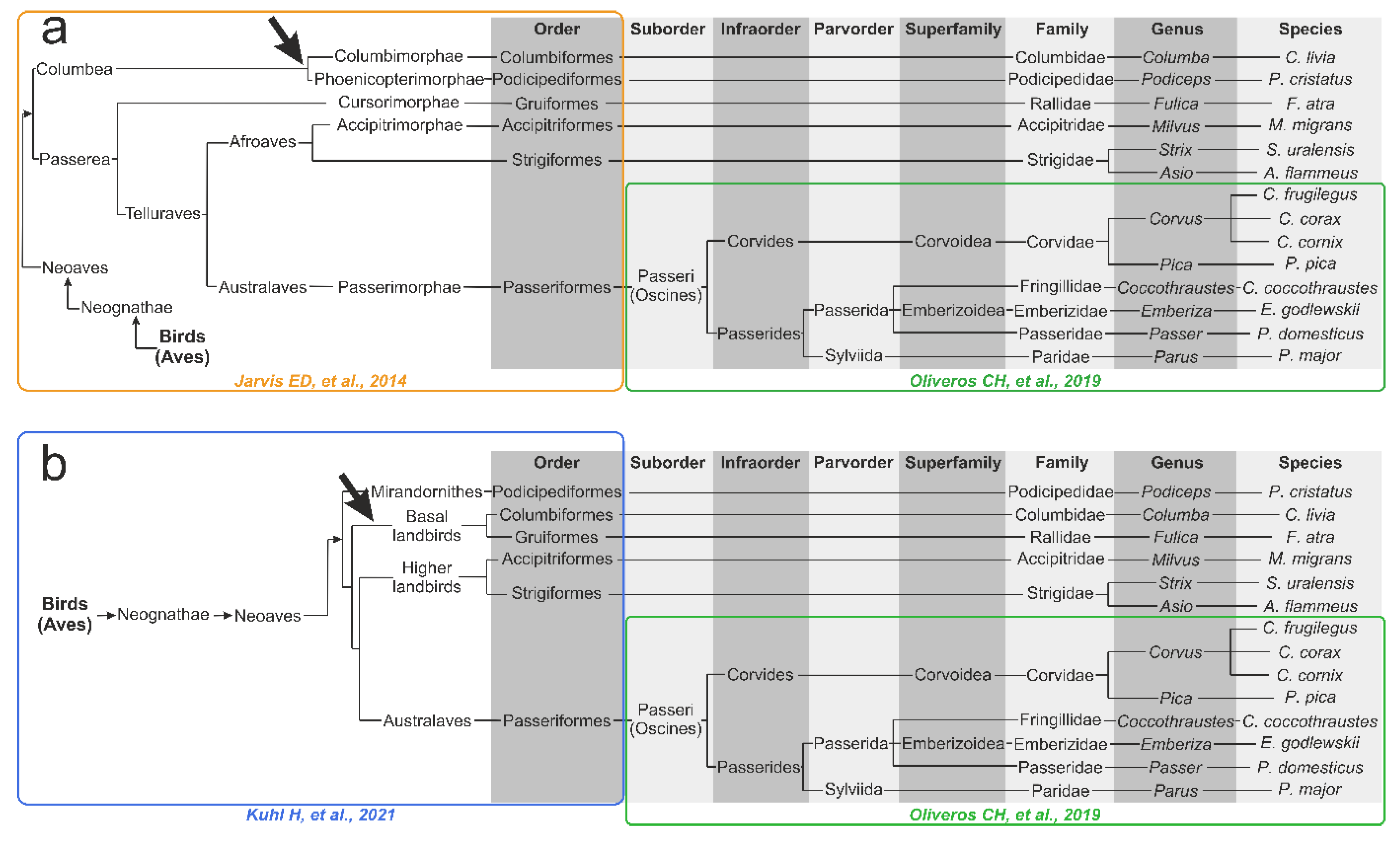 Biology | Free Full-Text | The Application of Quantitative Metabolomics ...