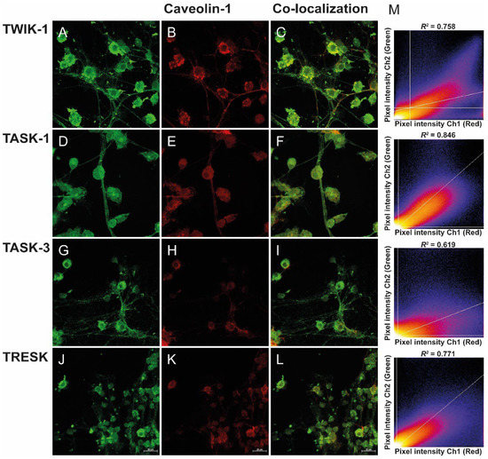 Biology | An Open Access Journal from MDPI