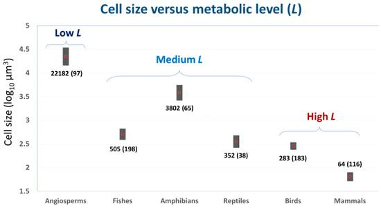 How Metabolic Rate Relates to Cell Size