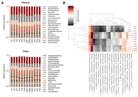 Biology | An Open Access Journal from MDPI
