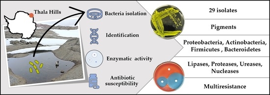 Biology | An Open Access Journal from MDPI