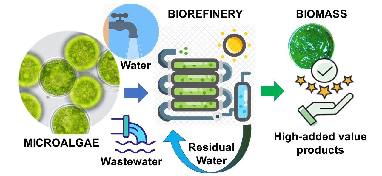 Biology | Free Full-Text | Microalgae-Based Biorefineries: Challenges and Future Trends to ...