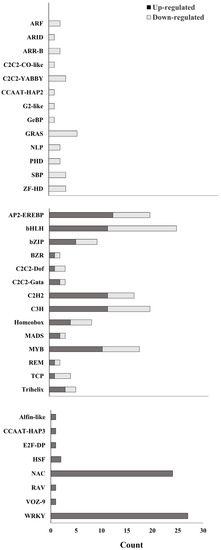 Transcriptome Meta-Analysis Identifies Candidate Hub Genes and Pathways ...