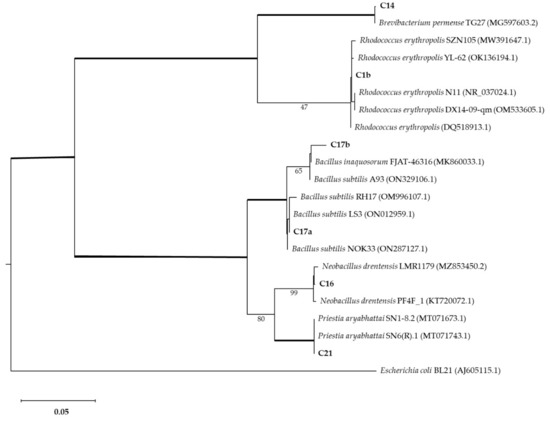 Biology | An Open Access Journal from MDPI