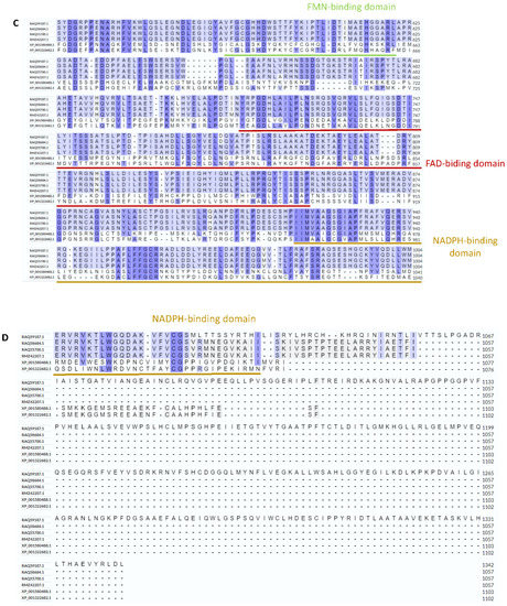 Biology | An Open Access Journal from MDPI