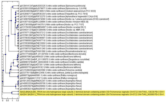 Biology | An Open Access Journal from MDPI