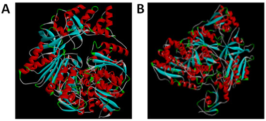 Biology | An Open Access Journal from MDPI