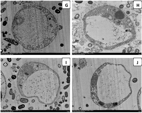 Biology | An Open Access Journal from MDPI