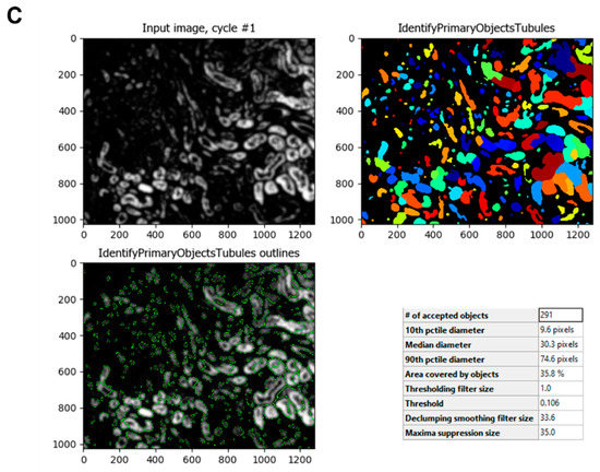 Biology | An Open Access Journal from MDPI