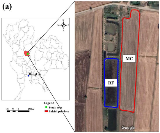 Soil Microbial Diversity and Community Composition in Rice–Fish Co ...