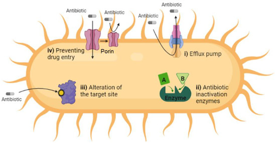 Drug Efflux Pump Inhibitors: A Promising Approach to Counter Multidrug ...