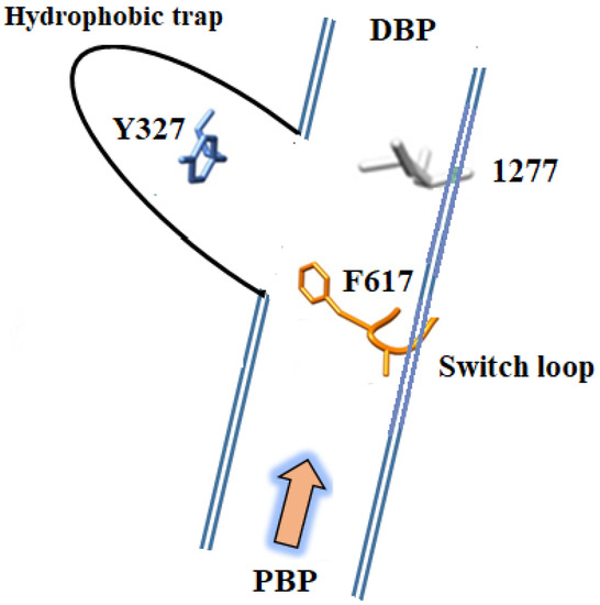 Drug Efflux Pump Inhibitors: A Promising Approach to Counter Multidrug ...
