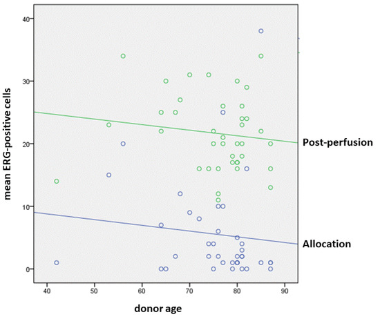 Biology | Free Full-Text | Trophism and Homeostasis of Liver Sinusoidal ...