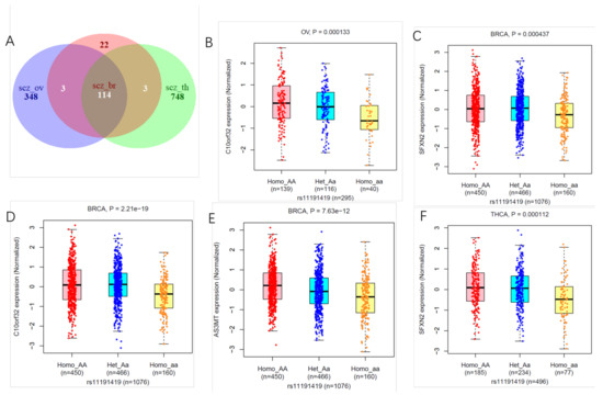 Mendelian Randomization and GWAS Meta Analysis Revealed the Risk-Increasing Effect of ...