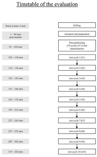 Influence of Rigor Mortis on Tendon Mobility in an Animal Fresh Cadaver ...