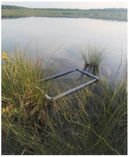 Optimization of Propagation of the Polish Strain of Aldrovanda ...