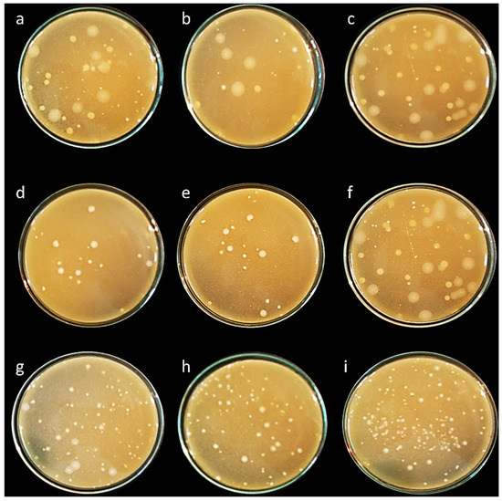 Biology | Free Full-Text | Bioprospecting for Novel Probiotic Strains from Human Milk and ...
