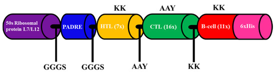 Design of a Chimeric Multi-Epitope Vaccine (CMEV) against Both ...