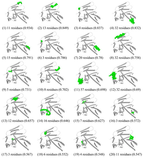 Design of a Chimeric Multi-Epitope Vaccine (CMEV) against Both Leishmania martiniquensis and ...