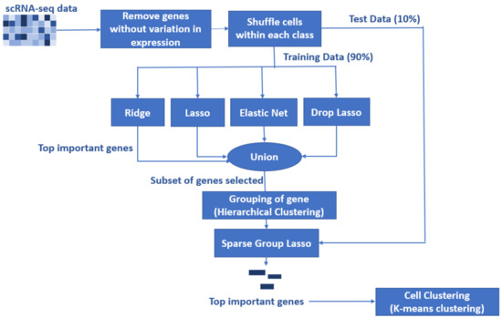 Biology | Free Full-Text | A Novel Algorithm for Feature Selection Using Penalized Regression ...