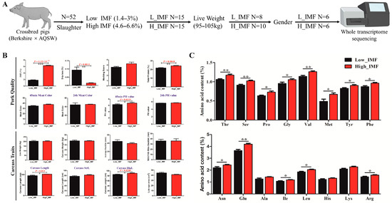 miR-381-3p Inhibits Intramuscular Fat Deposition through Targeting ...