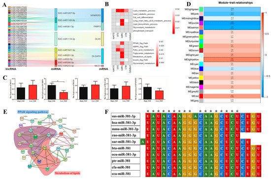 miR-381-3p Inhibits Intramuscular Fat Deposition through Targeting ...