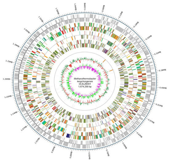 Isolation of a Novel Thermophilic Methanogen and the Evolutionary ...