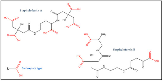 The Key Element Role of Metallophores in the Pathogenicity and ...