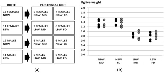 Biology | Free Full-Text | Obesity and Metabolic Traits after High-Fat ...