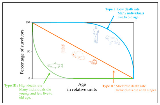 Metabolome Profiling in Aging Studies