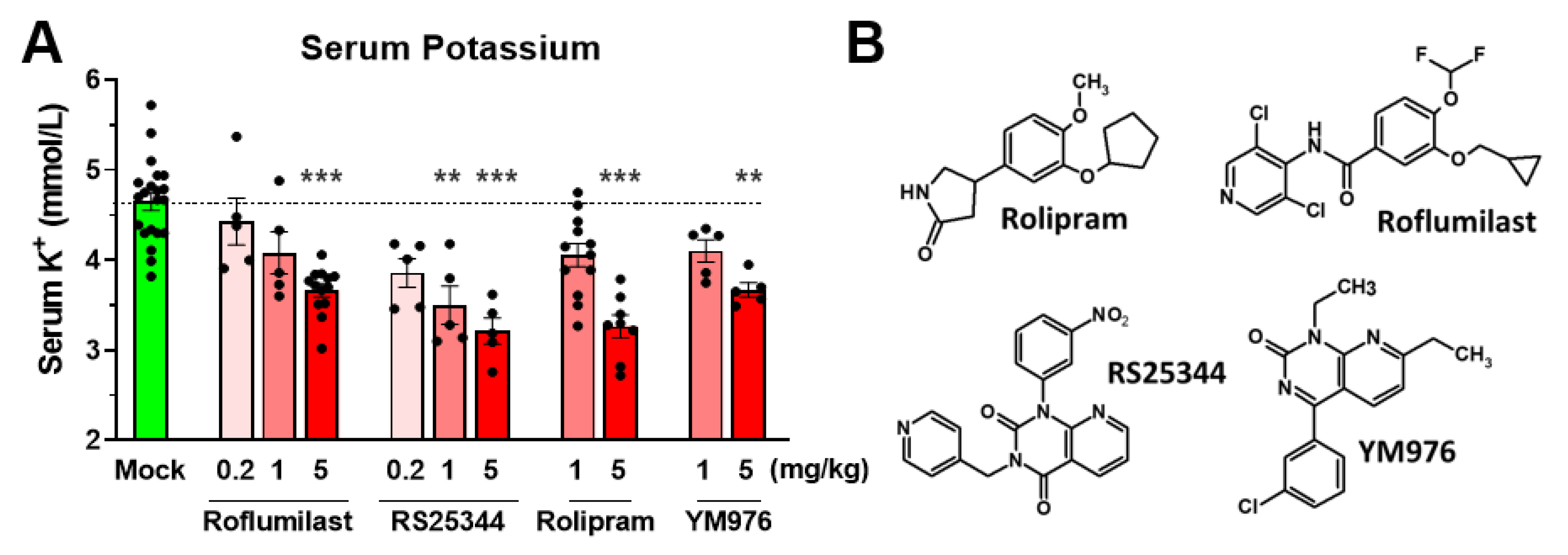 Non-Selective PDE4 Inhibition Induces a Rapid and Transient Decrease of ...