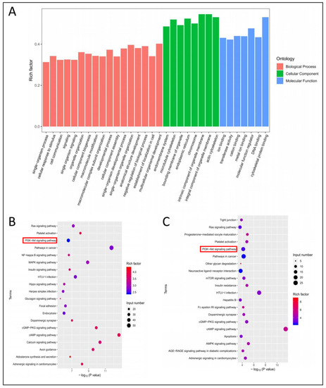 m6A Methylation Analysis Reveals Networks and Key Genes Underlying the Coarse and Fine Wool ...
