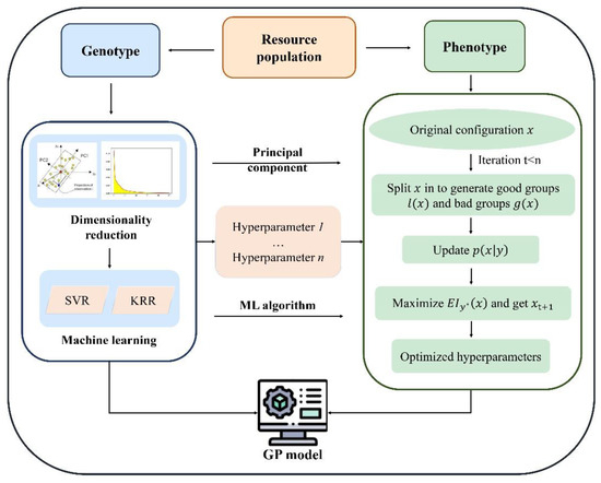 Improving Genomic Prediction with Machine Learning Incorporating TPE ...