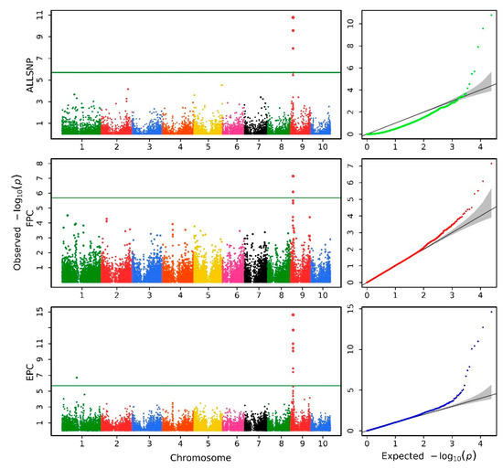 Gene-Based Genome-Wide Association Study Identified Genes for Agronomic ...