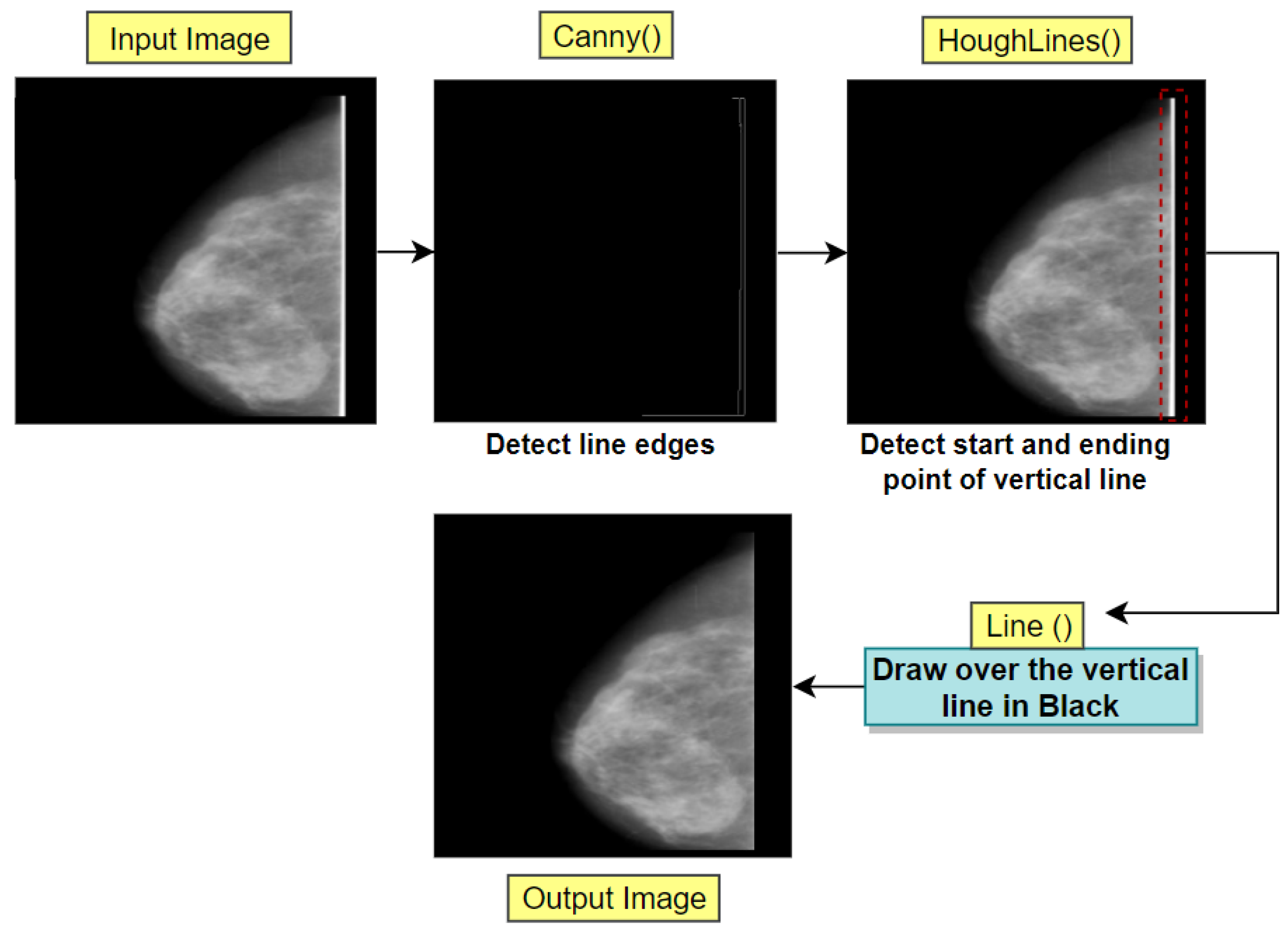 Biology Free Full Text An Effective Ensemble Machine Learning