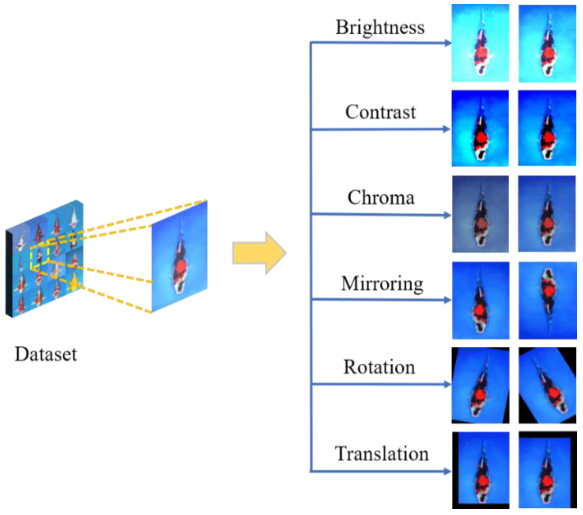 KRS-Net: A Classification Approach Based on Deep Learning for Koi with High Similarity