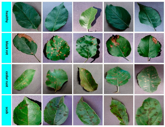 Artificial Intelligence-Based Robust Hybrid Algorithm Design and ...