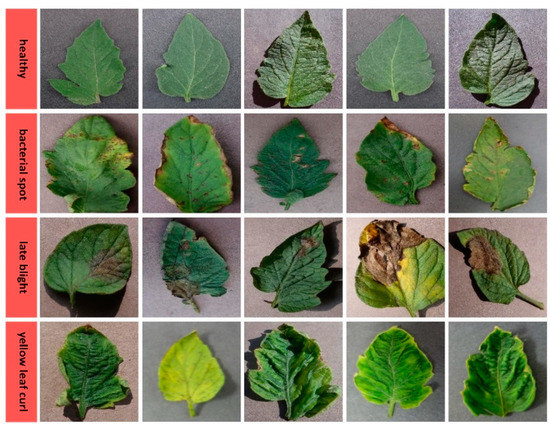 Artificial Intelligence-Based Robust Hybrid Algorithm Design and Implementation for Real-Time ...
