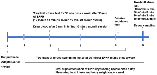 Alleviation of Cognitive and Physical Fatigue with Enzymatic Porcine ...