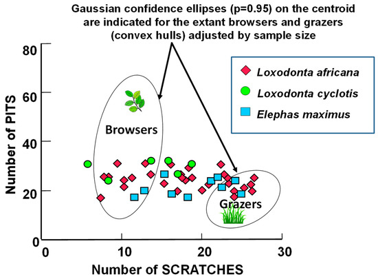Dietary Habits and Tusk Usage of Shovel-Tusked Gomphotheres from ...
