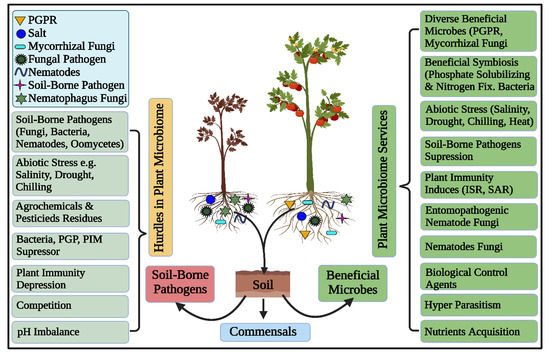 Plant Microbiome Engineering: Hopes or Hypes