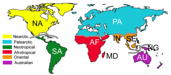 Historical Biogeography of Earwigs