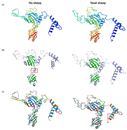 Polymorphism, Expression, and Structure Analysis of a Key Gene ARNT in ...