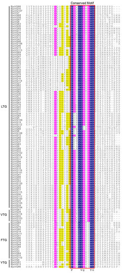 Biology | Free Full-Text | Comprehensive Identification and Expression Profiling of the VQ Motif ...