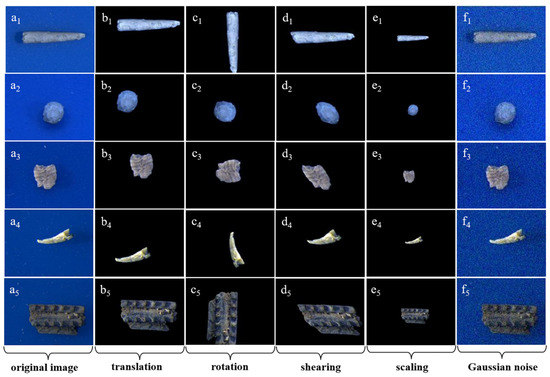 Recognition of Rare Microfossils Using Transfer Learning and Deep Residual Networks