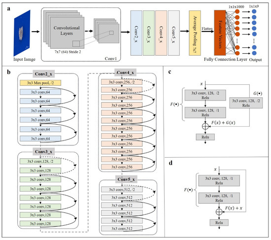 Recognition of Rare Microfossils Using Transfer Learning and Deep Residual Networks