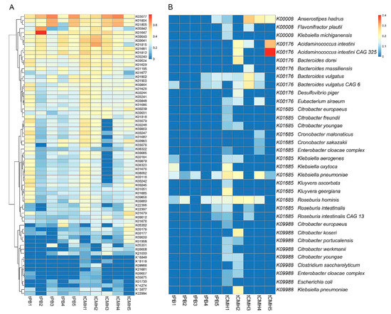 Analyzing Predominant Bacterial Species and Potential Short-Chain Fatty ...