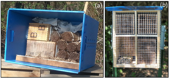 Biology, Genetic Diversity, and Conservation of Wild Bees in Tree Fruit ...